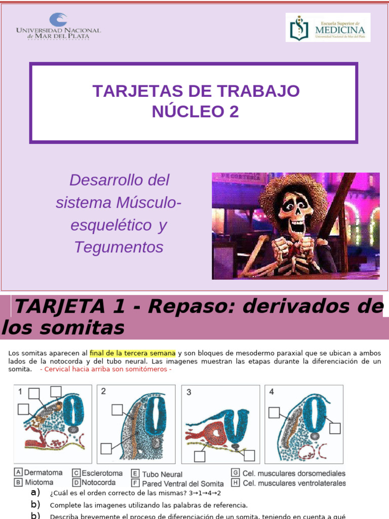 Tarjeta N2 YUri Gandin | PDF | Vértebra | Cráneo