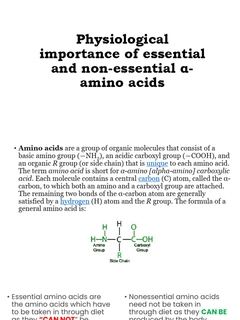 Physiological Importance of Essential and Non-essential Amino Acids ...