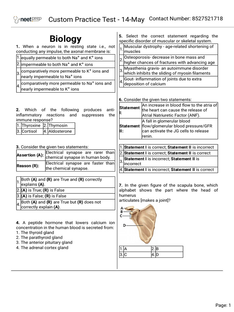 Custom Practice Test 14 May | PDF | Axon | Pituitary Gland
