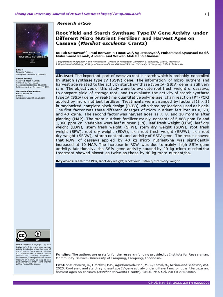 Root Yield and Starch Synthase | PDF | Reverse Transcription Polymerase ...