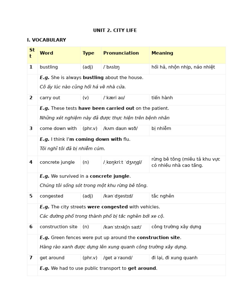 Unit 2 Vocab Grammar | PDF
