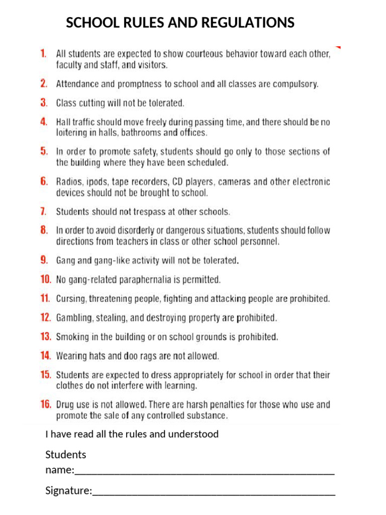 I Have Read All the Rules and Understood | PDF