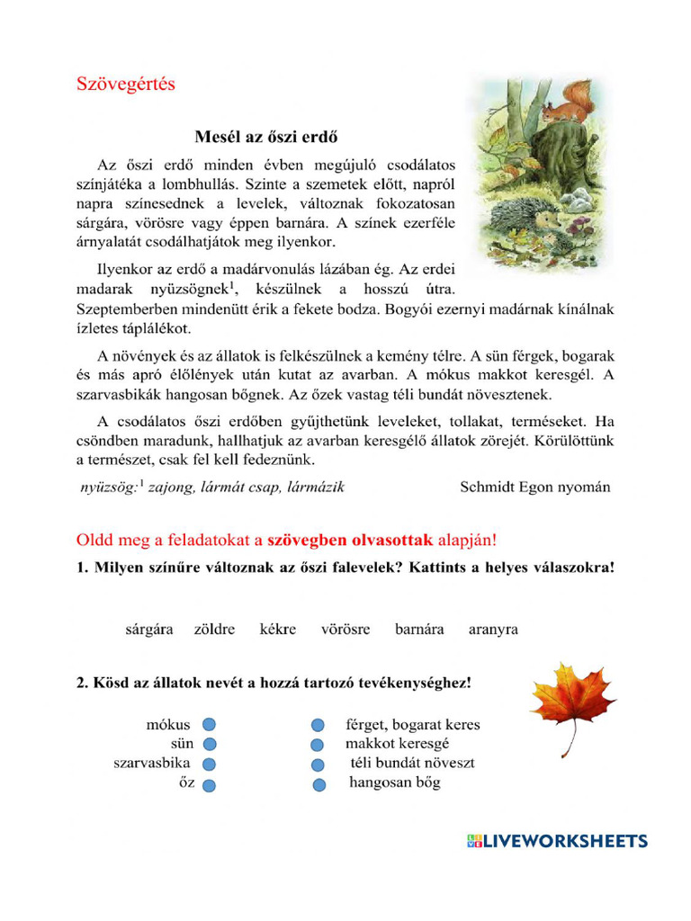 Mesél Az Erdő | PDF