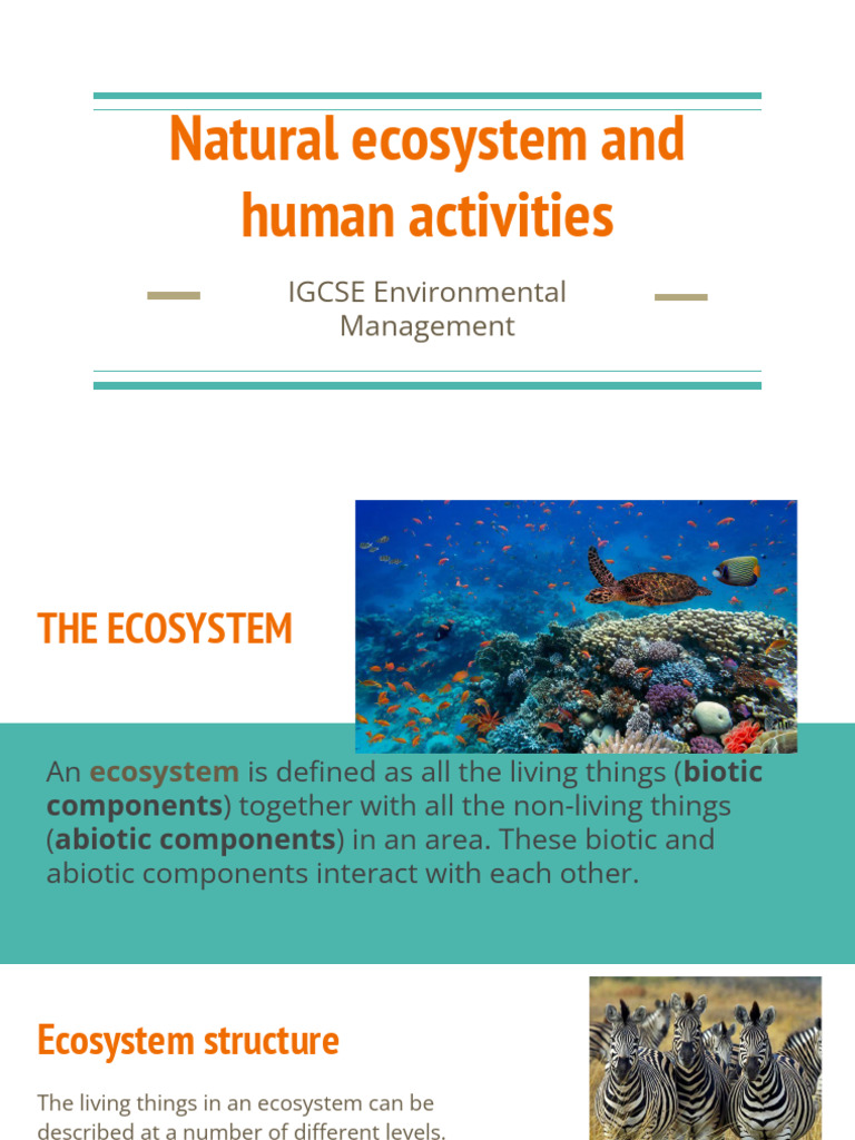 Natural Ecosystem and Human Activities | PDF | Ecosystem | Ecological Niche