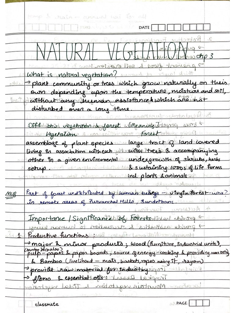 Natural Vegetation Notes-Siya Thanvi | PDF