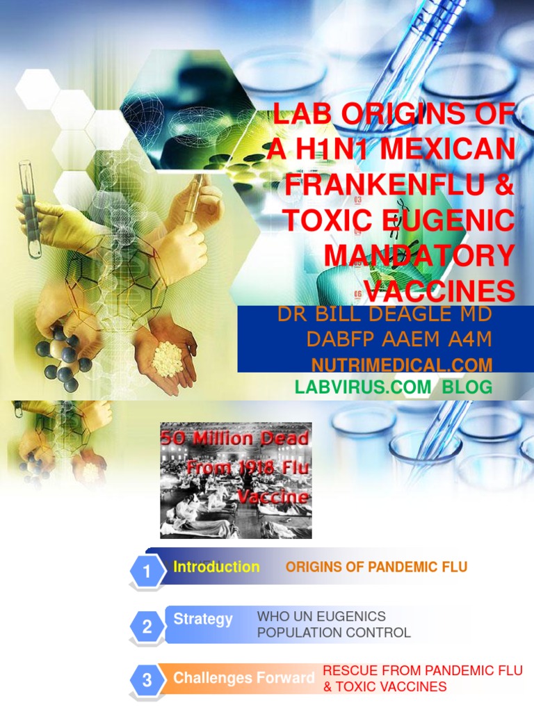 DR Deagle's H1N1 Report | Download Free PDF | Influenza Pandemic ...