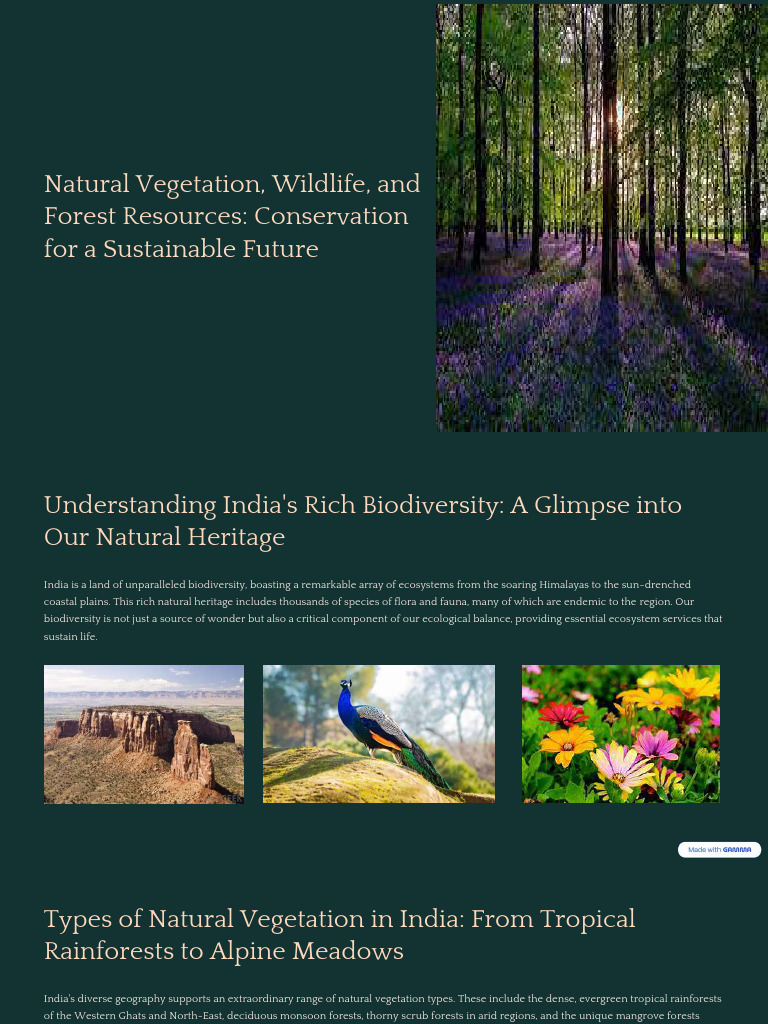 Natural Vegetation Wildlife and Forest Resources Conservation for a ...