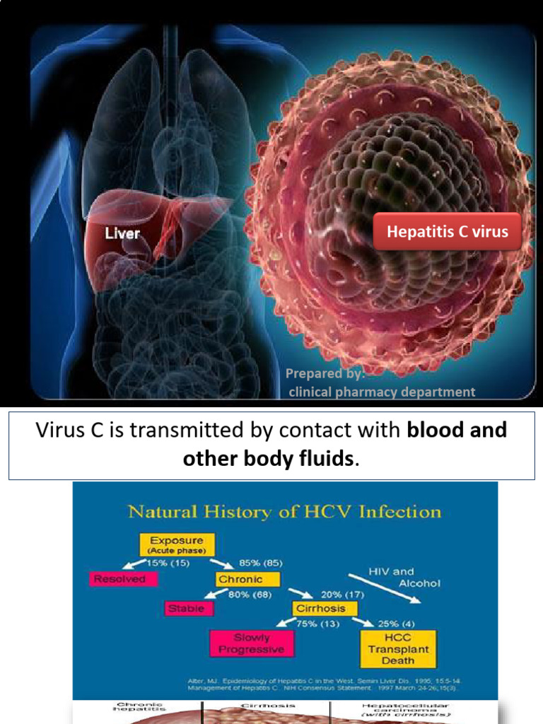 Hepatitis C Clinical Pharmacy 2025 | PDF | Hepatitis C | Hepatitis