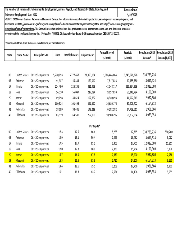 2022 County Business Patterns and Economic Census | PDF | Census