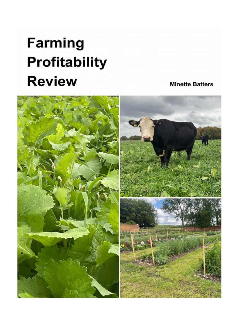 Farming Profitability Review | PDF | Agriculture | Sustainable Agriculture