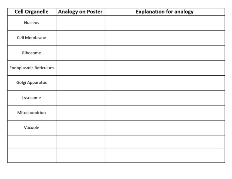 Cell Analogy Project Key | PDF