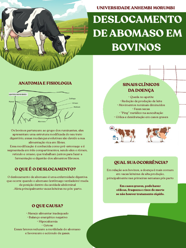 DESLOCAMENTO DE ABOMASO EM BOVINOS (Panfleto (A4) ) | PDF
