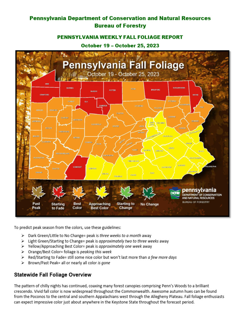 Week 4 Fall Foliage Report 2023 | PDF | Trees