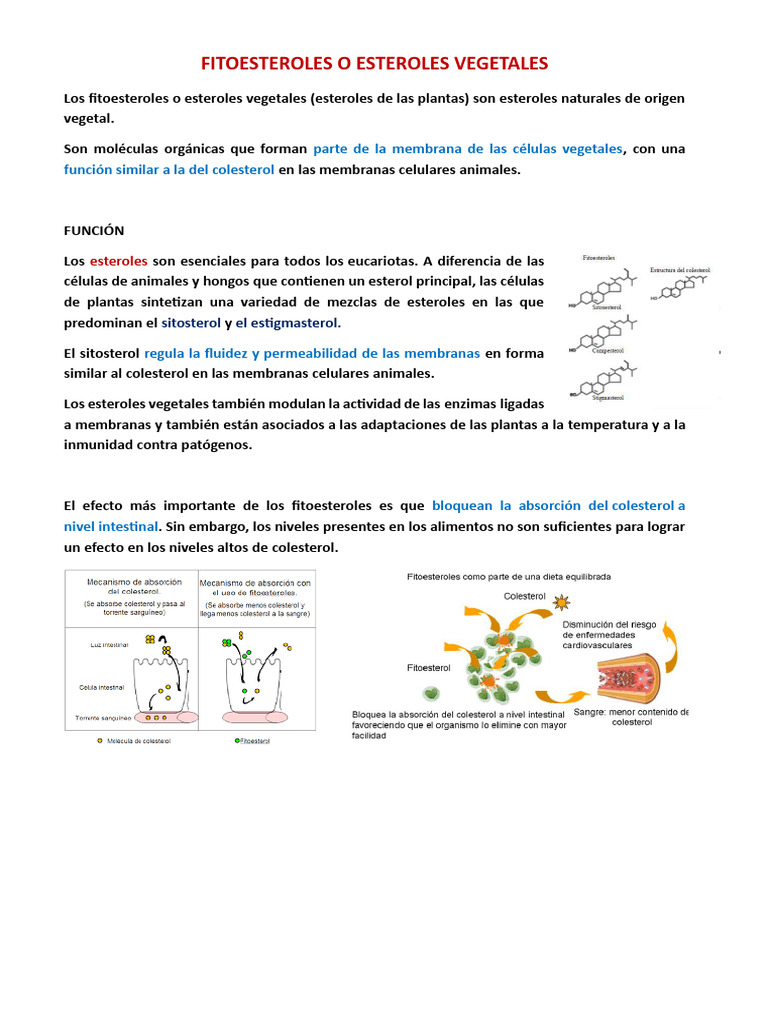 Fitoesteroles o Esteroles Vegetales | PDF