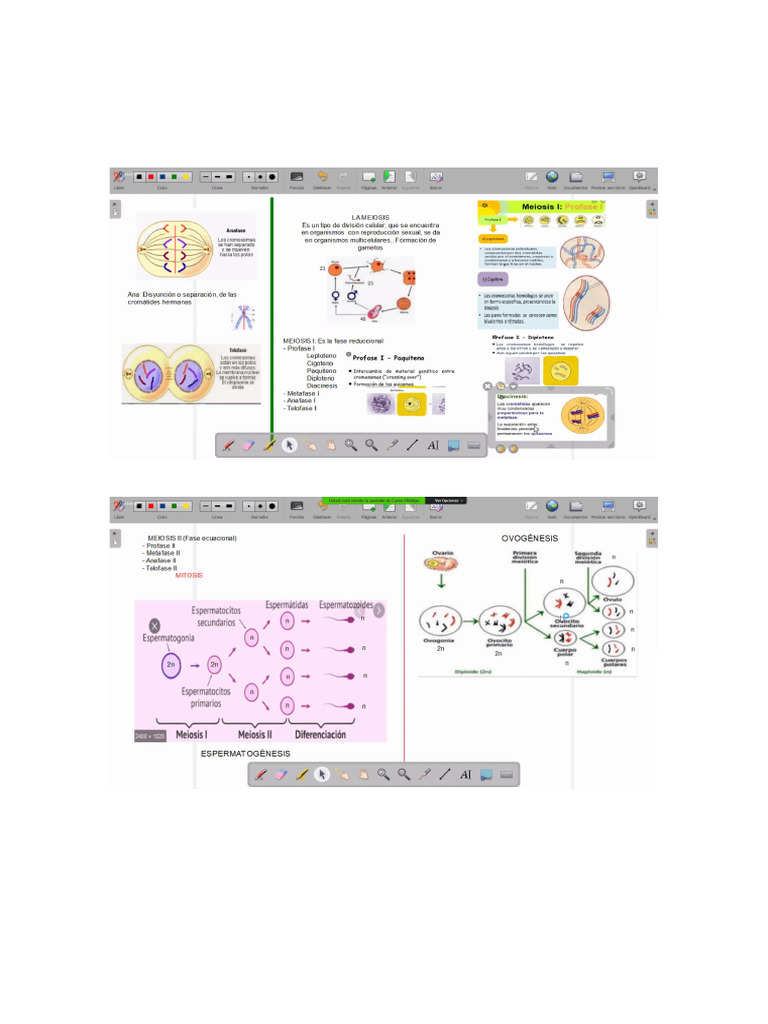 BIO 5 | PDF