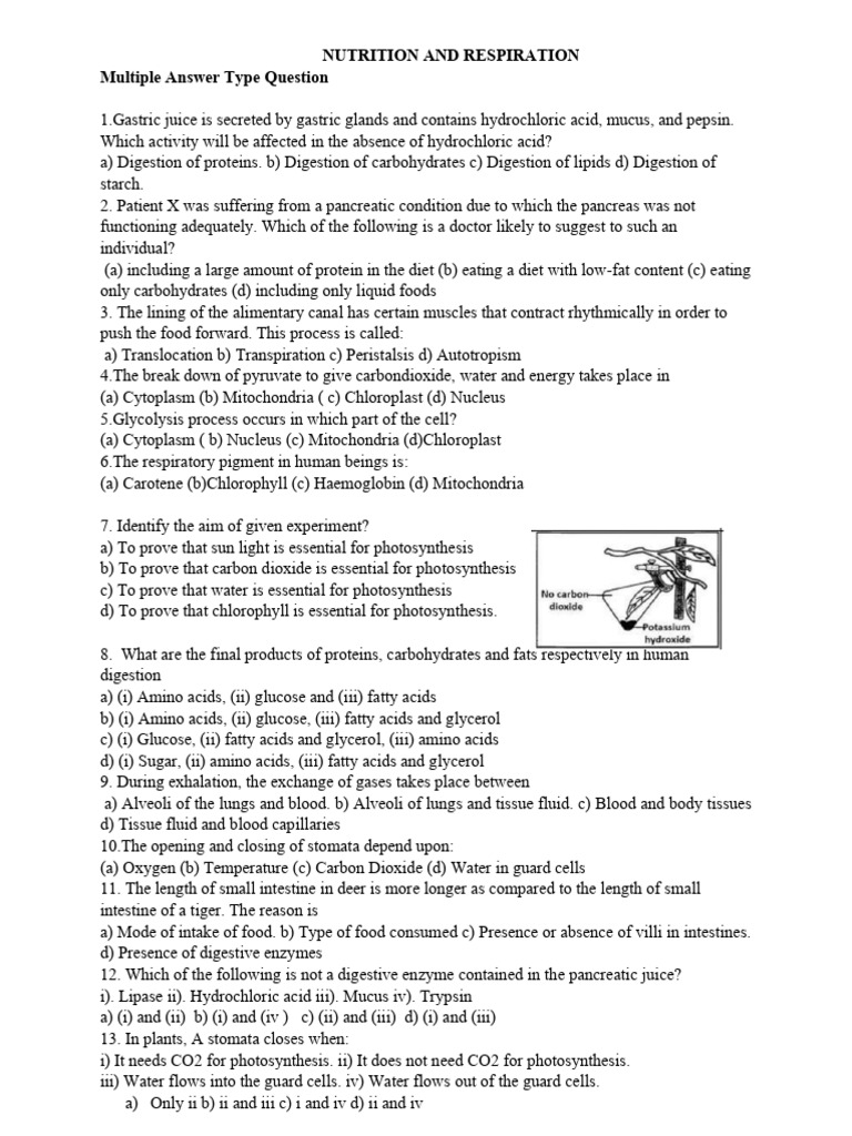 Nutrition and Respiration | PDF | Digestion | Cellular Respiration