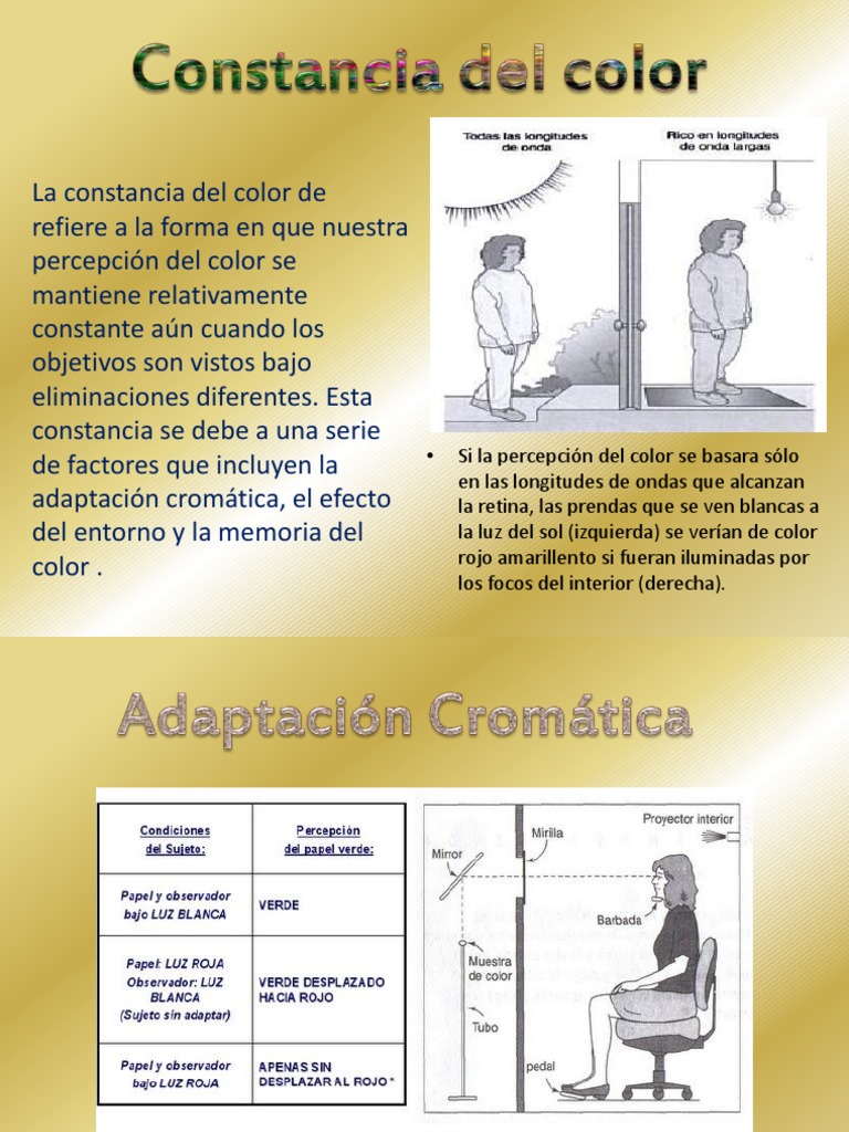 Constancia de Color | PDF