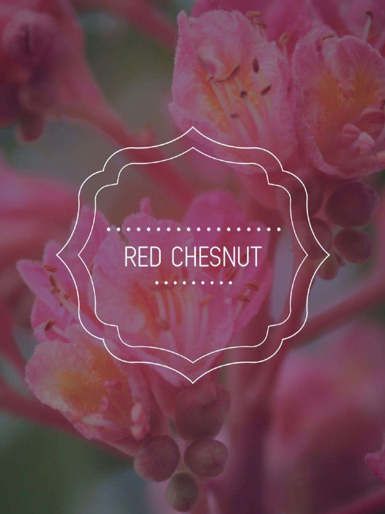 Red Ches Nut | PDF
