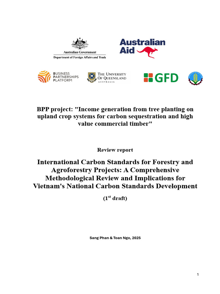 Carbon Standards Review Report - First Draft2 | PDF | Clean Development ...