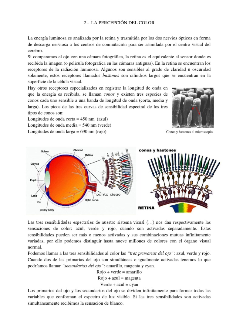 Percepción del Color y Sistemas de Mezcla | PDF | Percepción visual | Color