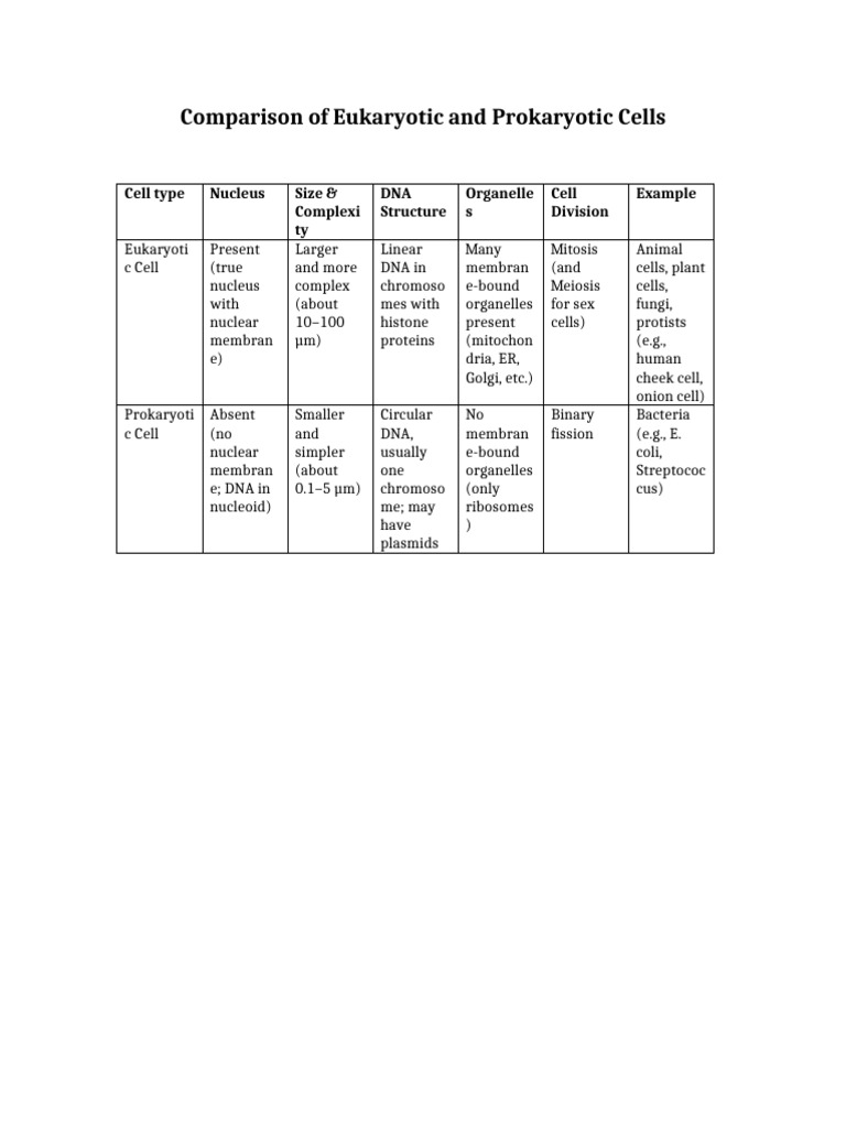 Eukaryotic vs Prokaryotic Cells Table | PDF