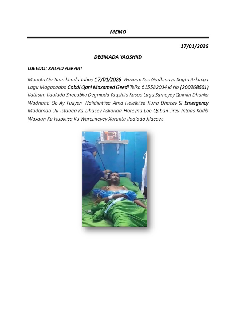 Cabdi Qani Maxamed Geedi | PDF