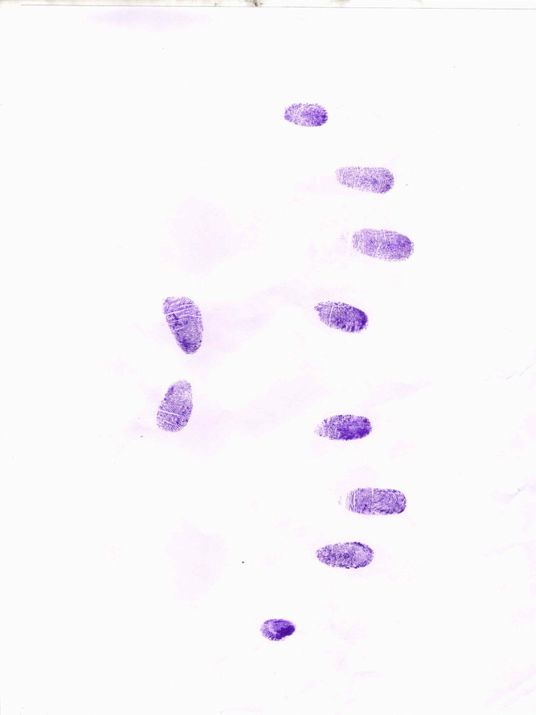 Thumb | PDF