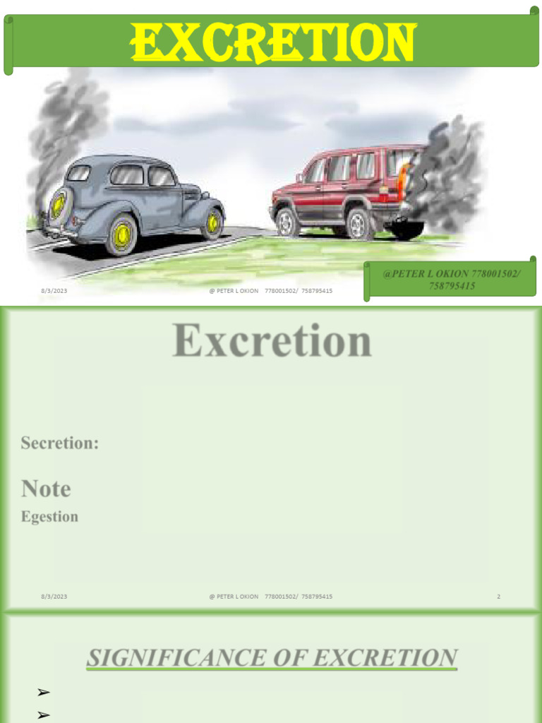 Wunna-o-level Biology Notes - Excretion 2 (Presentation)-6848795b8b03d4 ...