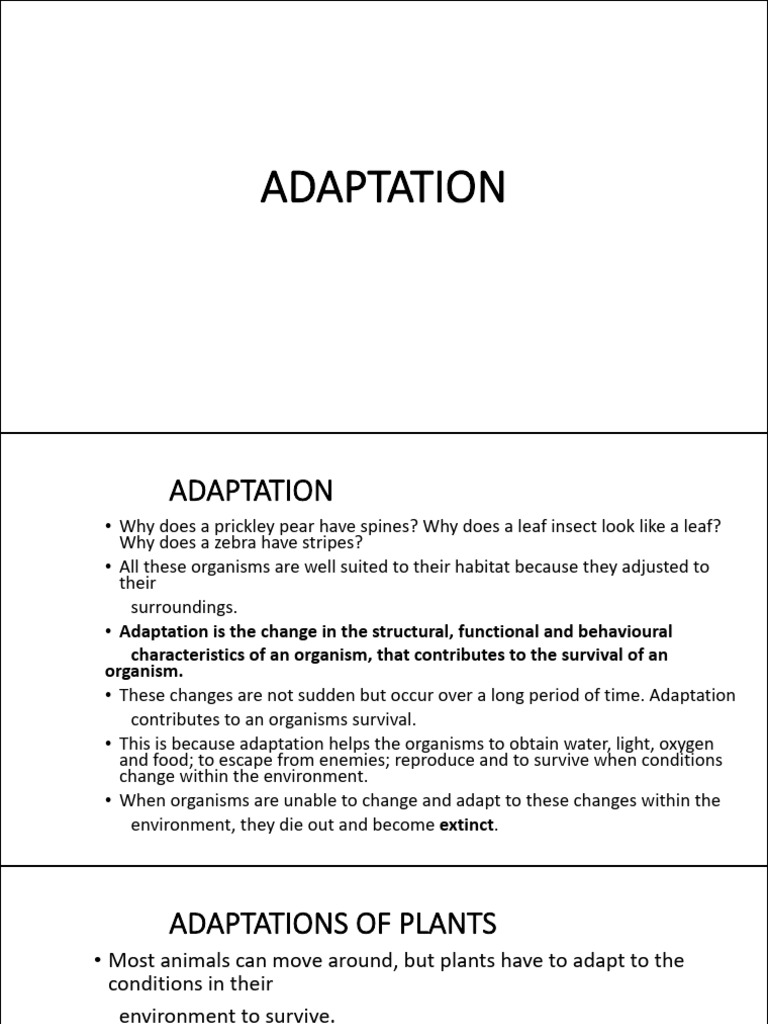 ADAPTATION - Plants (Copying) | PDF | Leaf | Adaptation