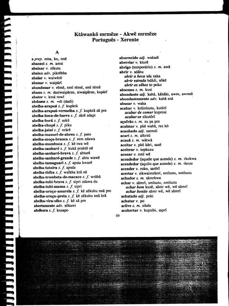Dicionario-Xerente-COMPLETO 2 | PDF
