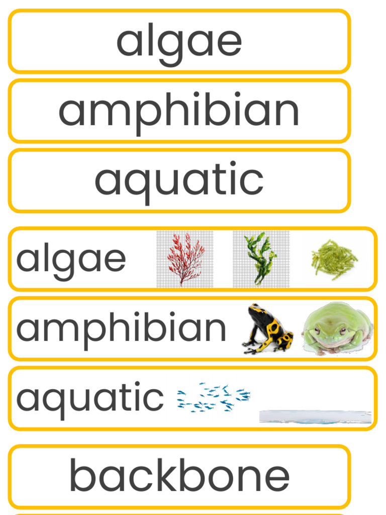 CS Year 6 Living Things and Their Habitats Display Pack | PDF ...