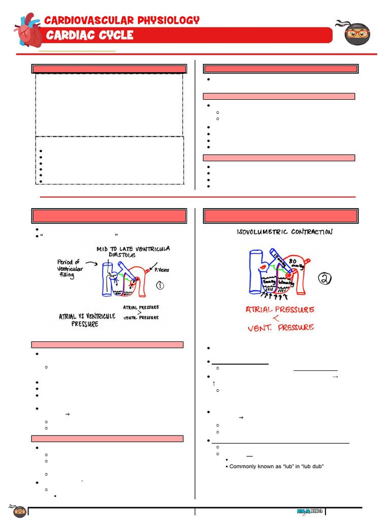 Cardiovascular Cardiac Cycle Atf - 251007 - 161024 | PDF | Diastole ...
