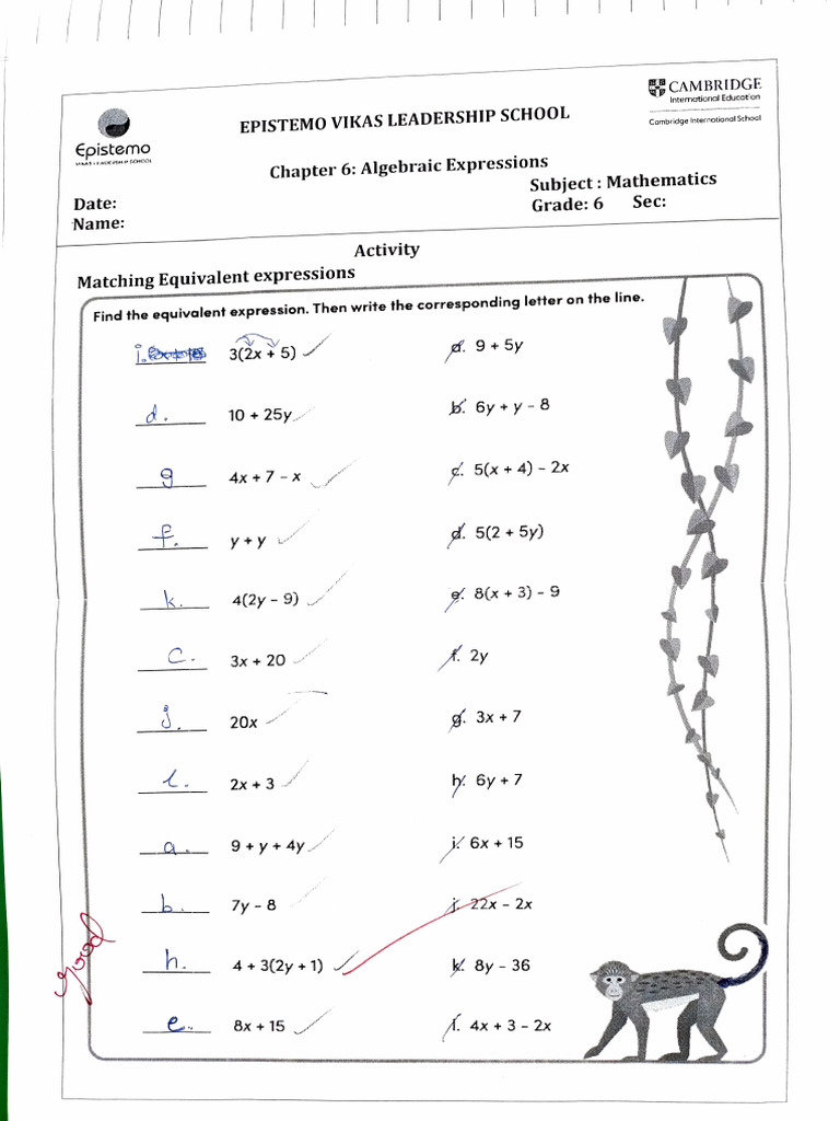Algebraic Expressions Activity Ws | PDF