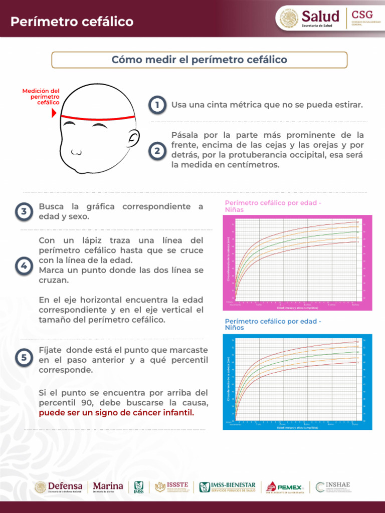Perímetro cefálico en niños | PDF