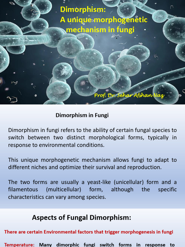 6-Dimorphism in Fungi | PDF | Cell Signaling | Signal Transduction