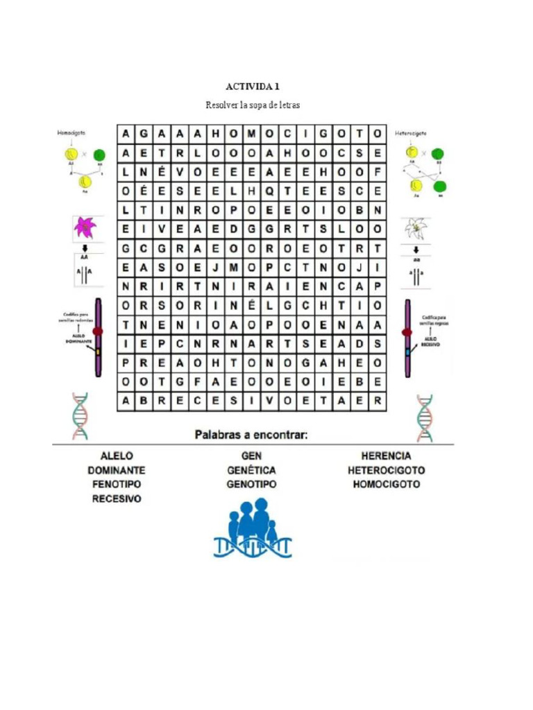 Sopa de Letras Genetica | PDF