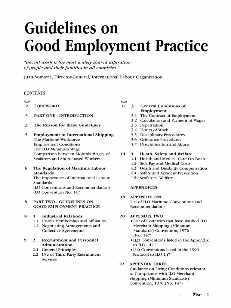 Employment Guidelines | PDF