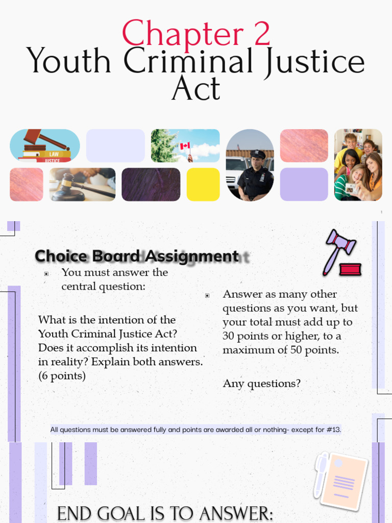 Chapter 2 Youth Justice System | PDF | Crimes | Crime & Violence