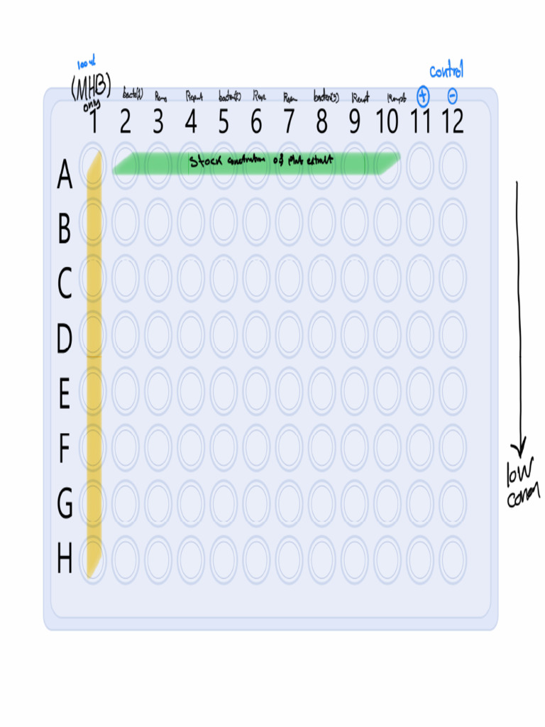 96 Well Plate Template | PDF