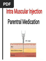 Rabbit Intramuscular Injection Guide | PDF | Injection (Medicine ...