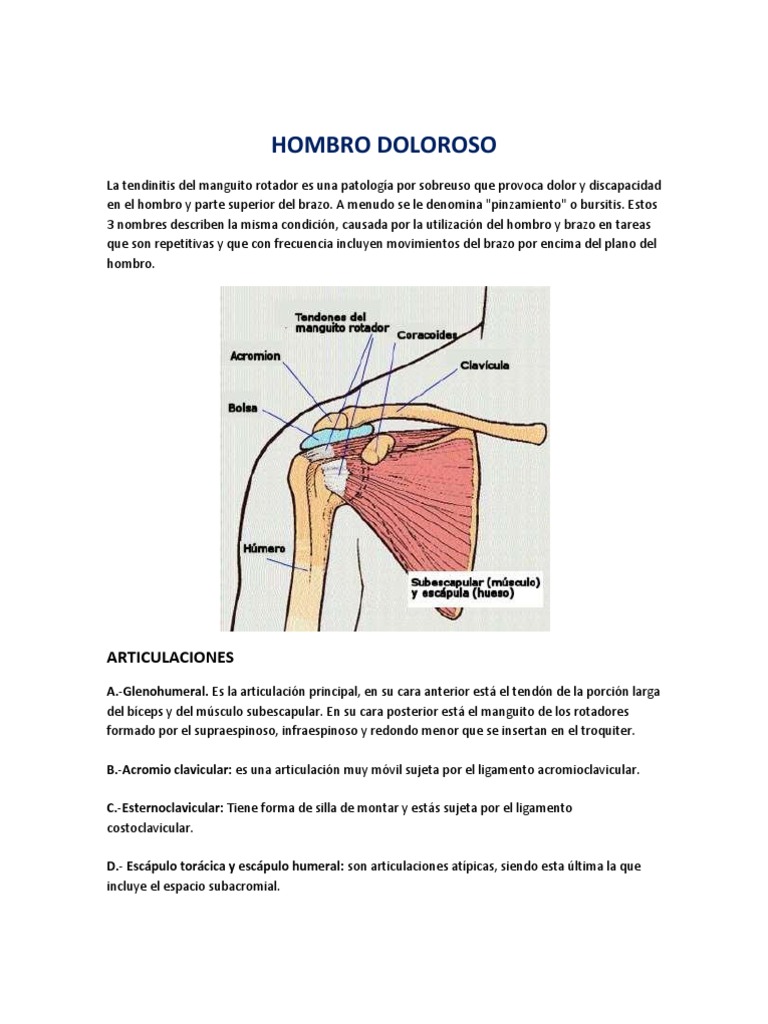 Guía Completa para el Dolor de Hombro | PDF | Hombro | Enfermedades y ...