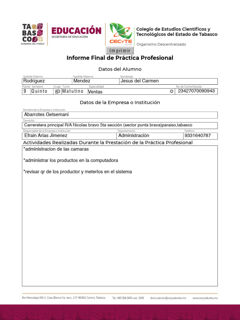 Formulario de Informe Final de Práctica Profesional (1)[1] copia | PDF ...