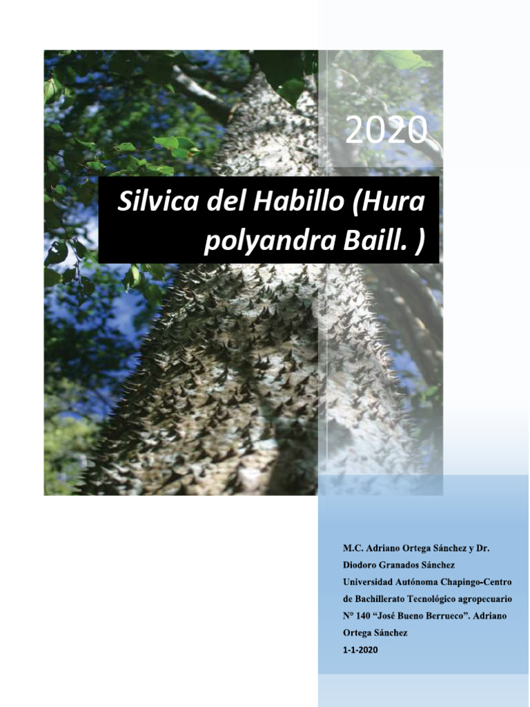 000 Silvica de Habillo00 | PDF | Flores | Arboles