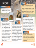 Capybara Life Cycle Overview | PDF | Biology | Zoology
