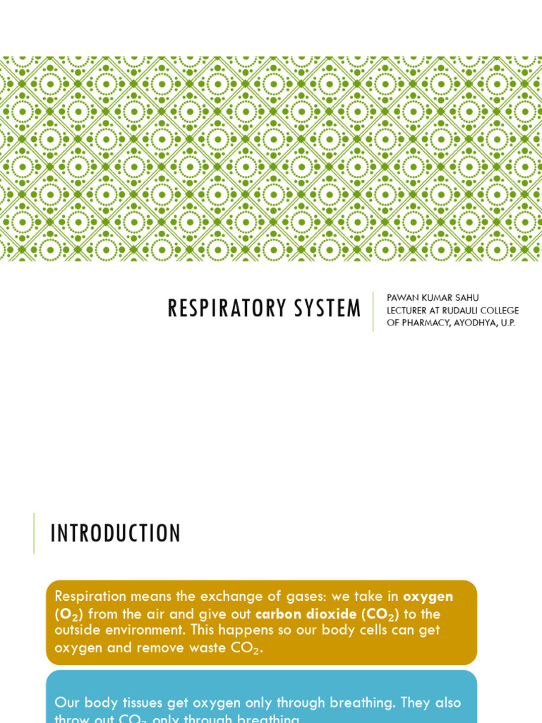 A Comprehensive Study of the Human Respiratory System | PDF | Lung ...