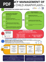 Anaphylaxis Emergency Kit Checklist | PDF