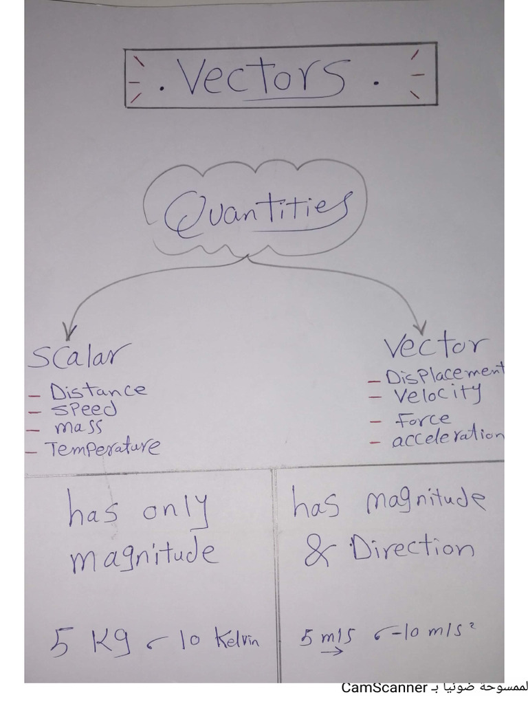 Vectors | PDF
