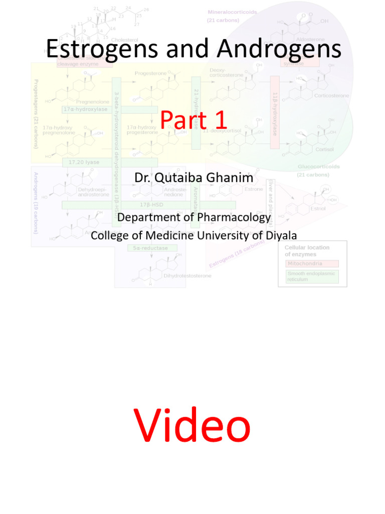 Estrogens and Androgens - Part 1 | PDF