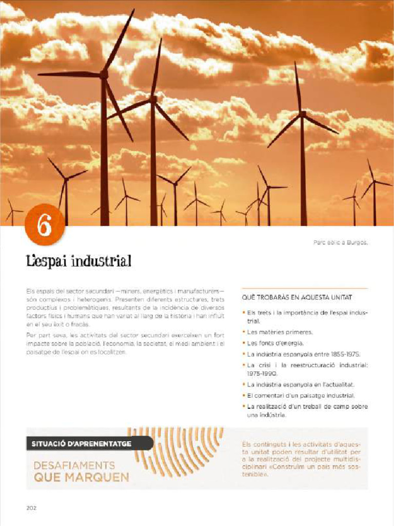 Sector Secundari | PDF