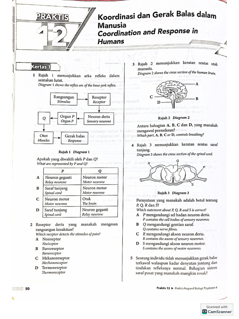 Bio f4 Chap 12 Exercise 1 | PDF
